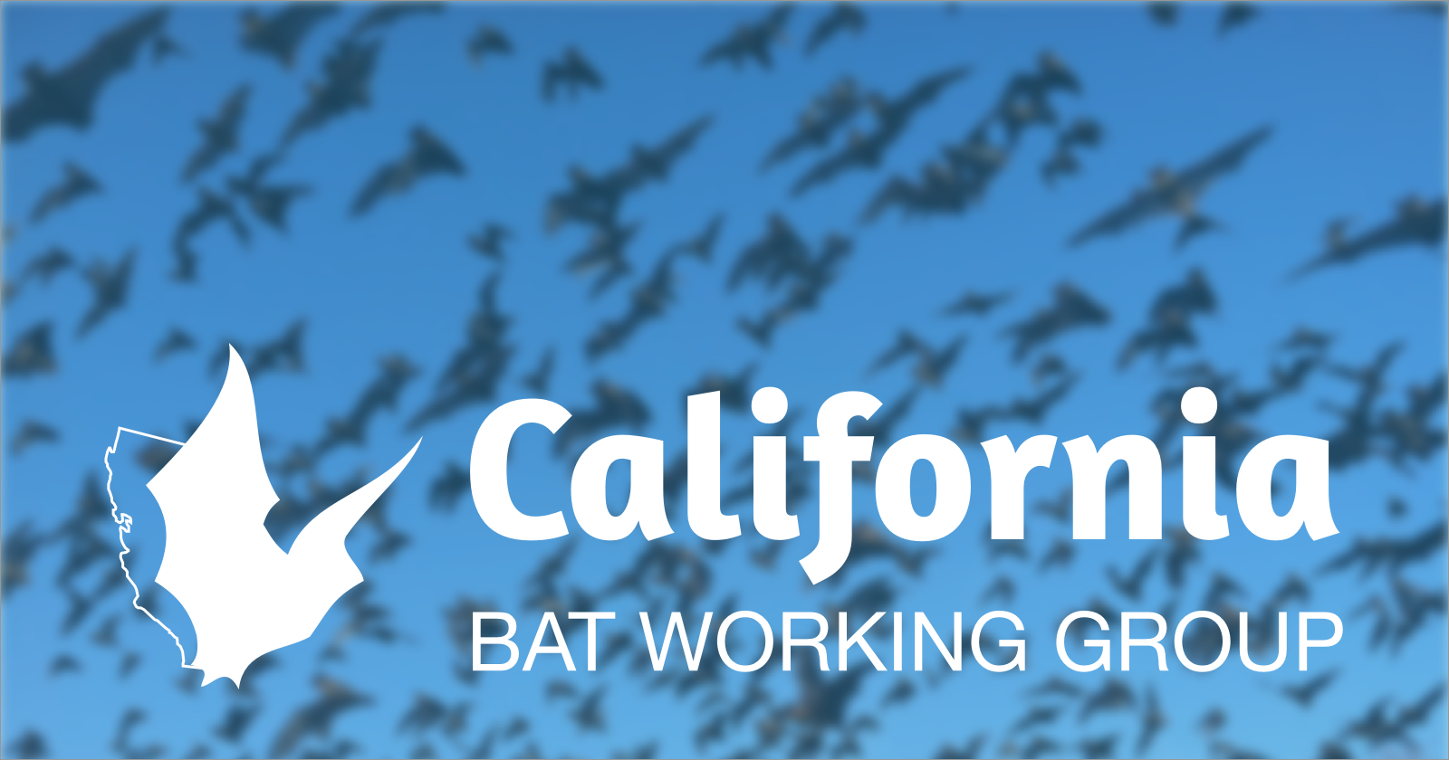 Breaking News: California has a State Bat!